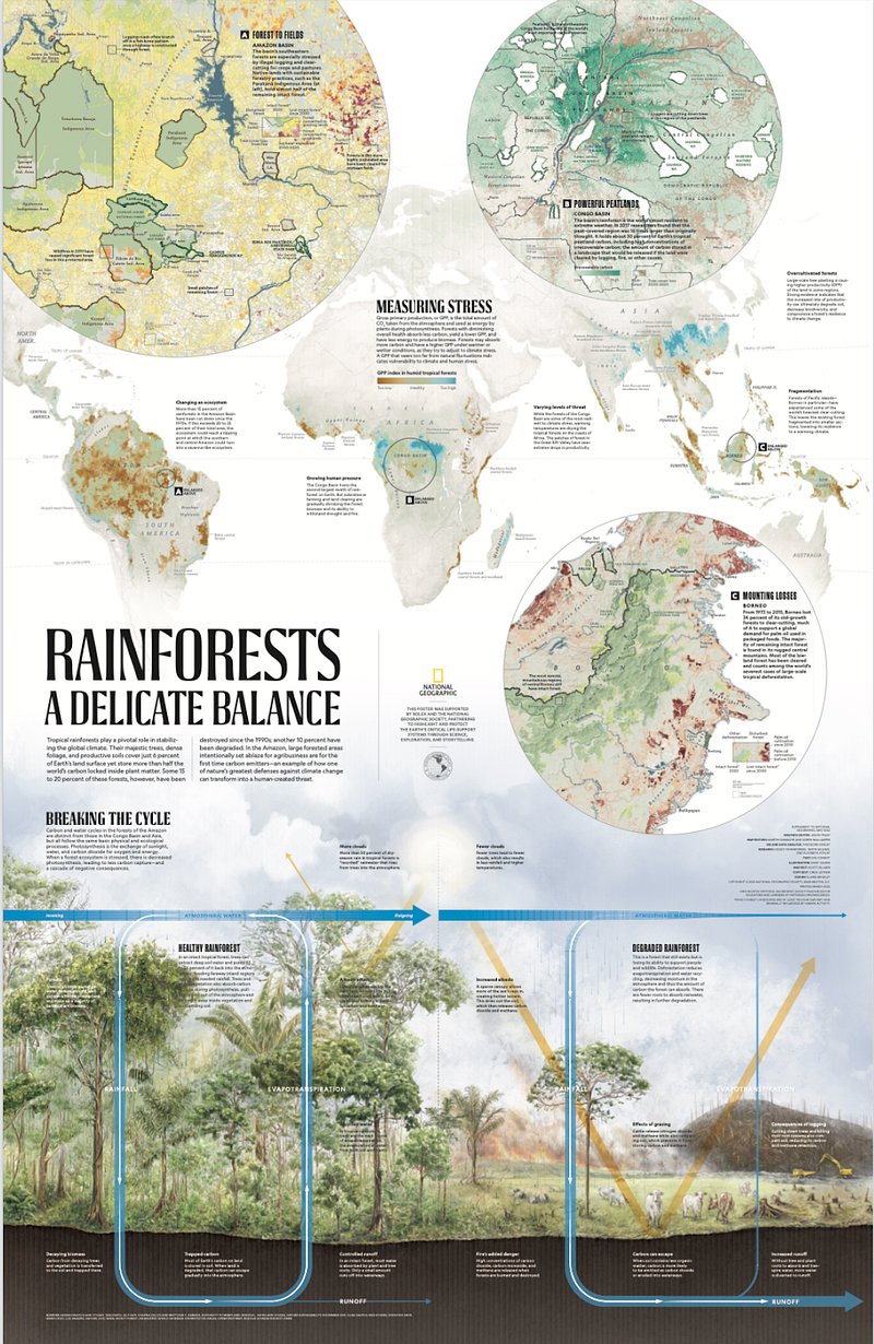 Meet the Community! Daisy Chung, visual communicator and illustrator