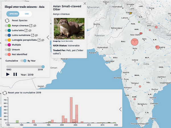 Meet the Community! Julia Janicki, data visualisation designer ...